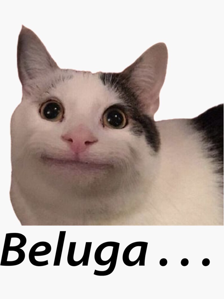 "Beluga Catback s " Sticker by Liamandlore | Redbubble