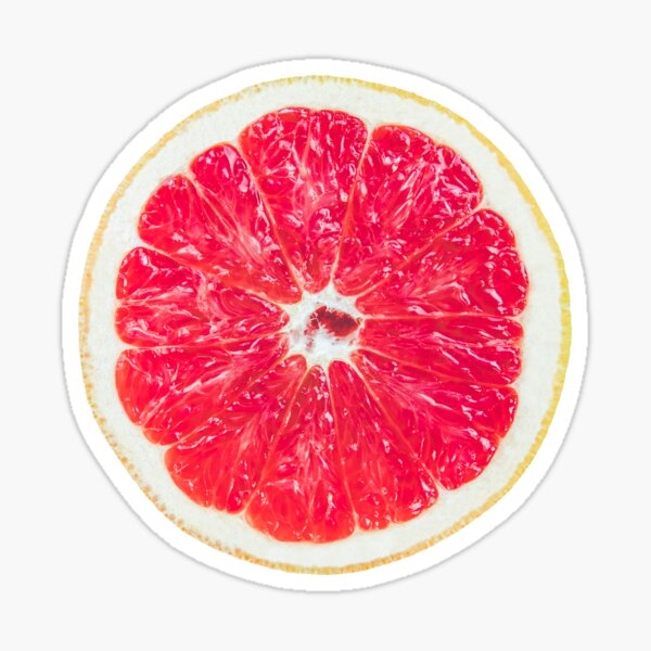 "Sliced Fresh Grapefruit" Sticker by mrdoomits | Redbubble