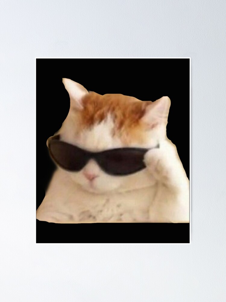 "beluga cat (2)" Poster for Sale by Liamandlore | Redbubble