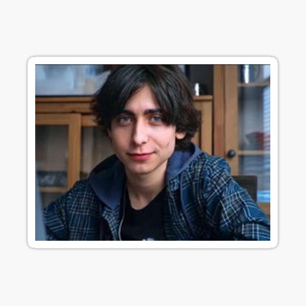 "Aidan Gallagher" Sticker by shelalu | Redbubble