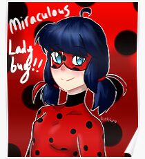 Miraculous Ladybug: Posters | Redbubble
