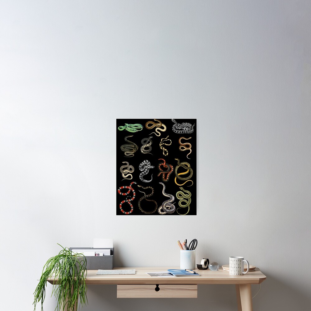 "Educational Types of Snake " Poster for Sale by LesliexWiggins | Redbubble