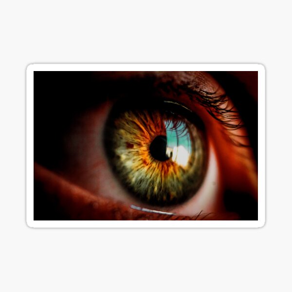 "Human eye" Sticker by cooldazzars | Redbubble