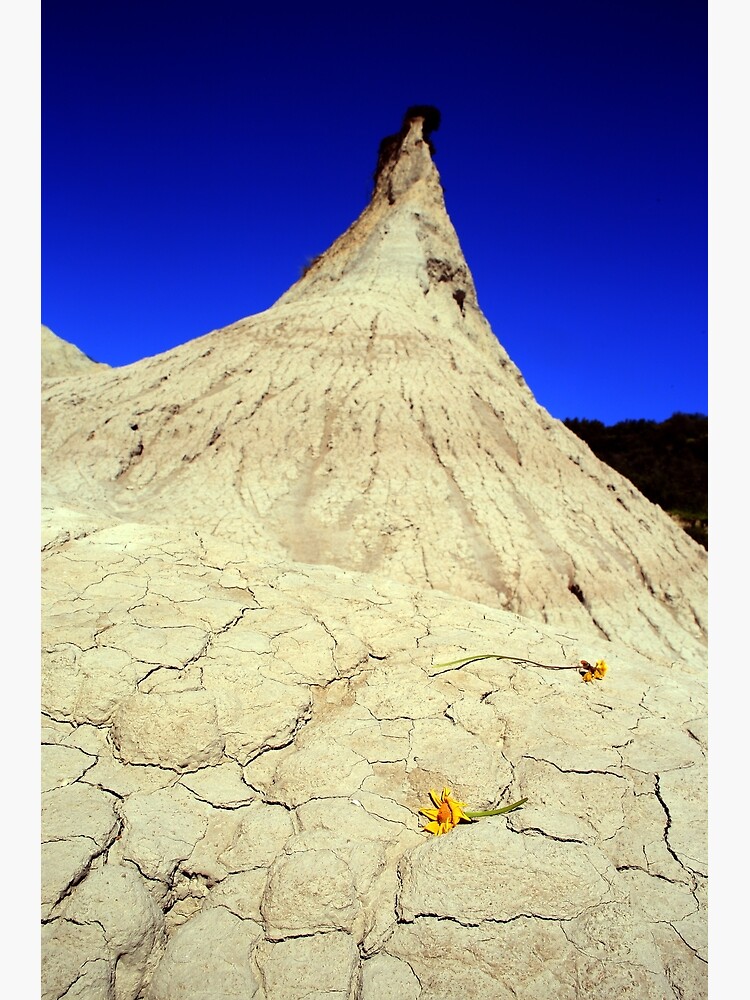 "Ancient sand dunes in beach landscape" Poster for Sale by ...