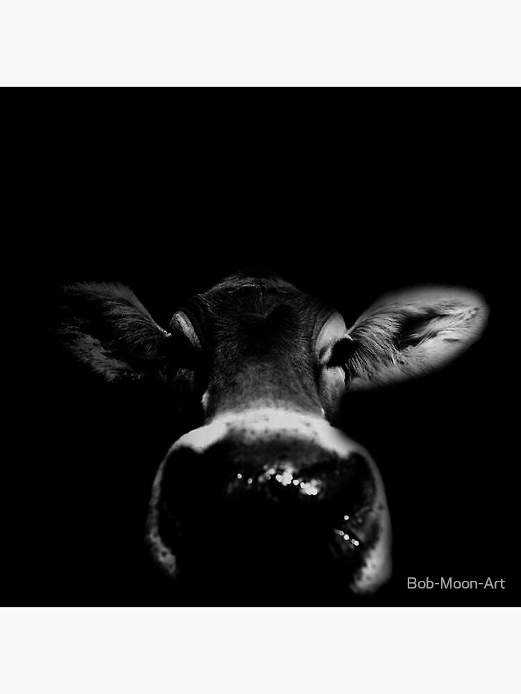 "Dramatic Cow Art Black and White Animal Portraits" Poster for Sale by ...