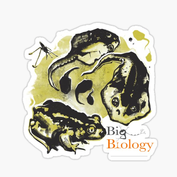 "The Amphibian Omnivore's Dilemma" Sticker by BigBiology | Redbubble