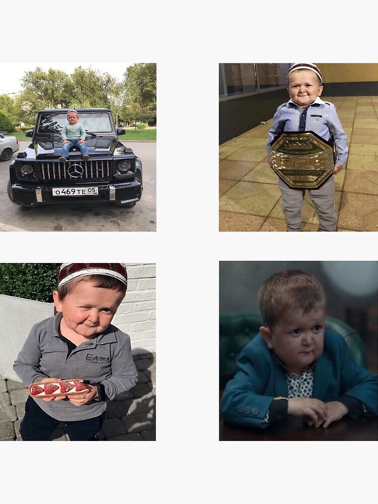 "Hasbulla Sticker Pack" Sticker for Sale by BitternotMeme | Redbubble