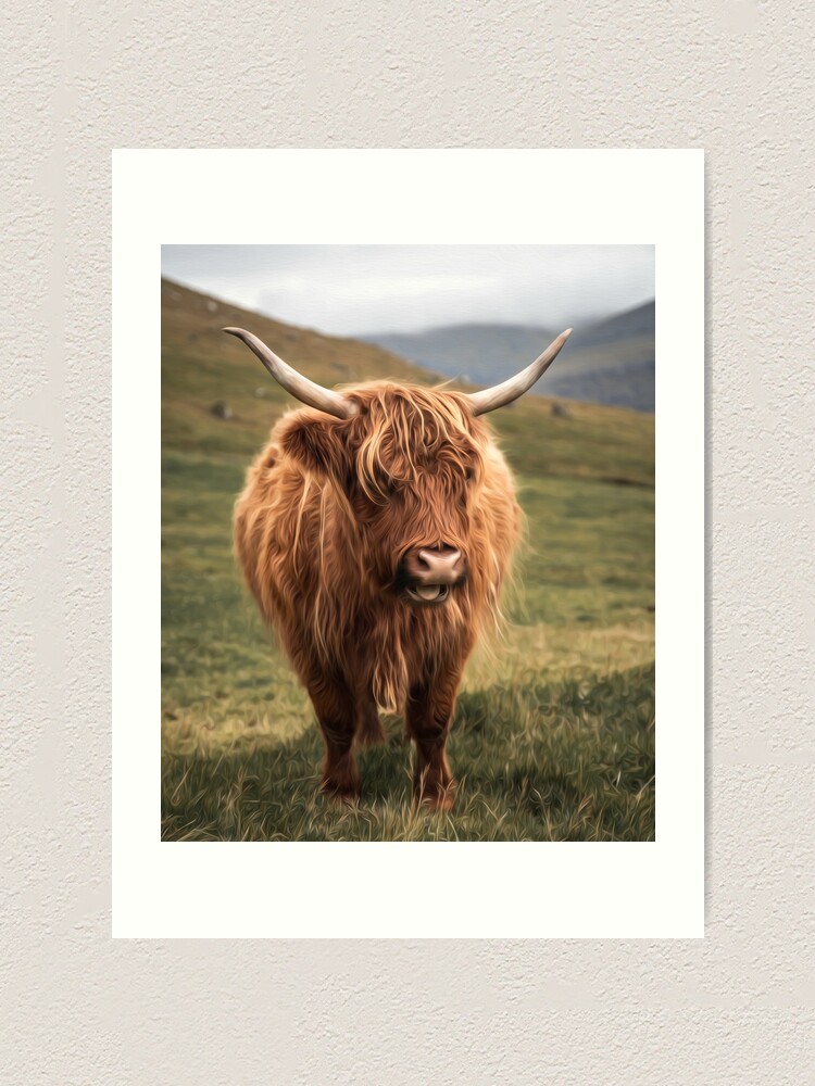 "Scottish Highland Cow oil painting drawing| Adorable fluffy Cow , gift ...
