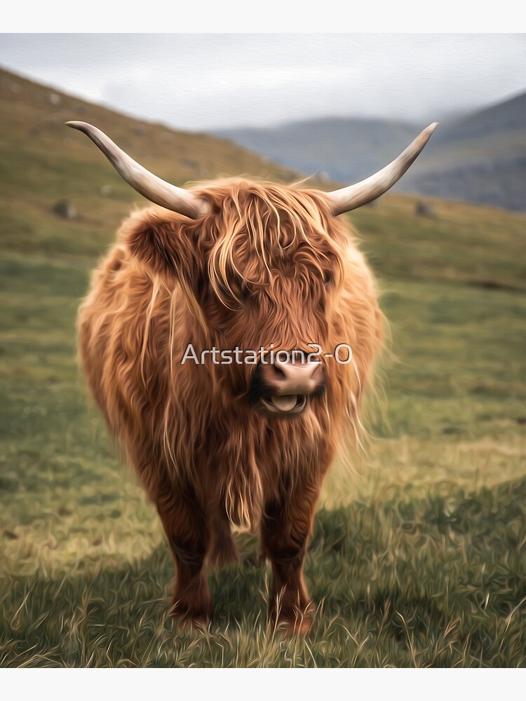 "Scottish Highland Cow oil painting drawing| Adorable fluffy Cow , gift ...