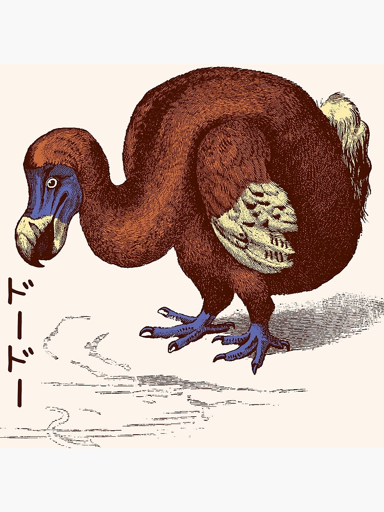 "Dodo ドードー Bird Scientific Wildlife Japanese" Poster for Sale by Snoot ...