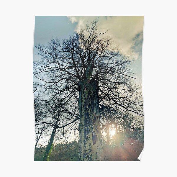"The big tree" Poster for Sale by Wolfecastle | Redbubble