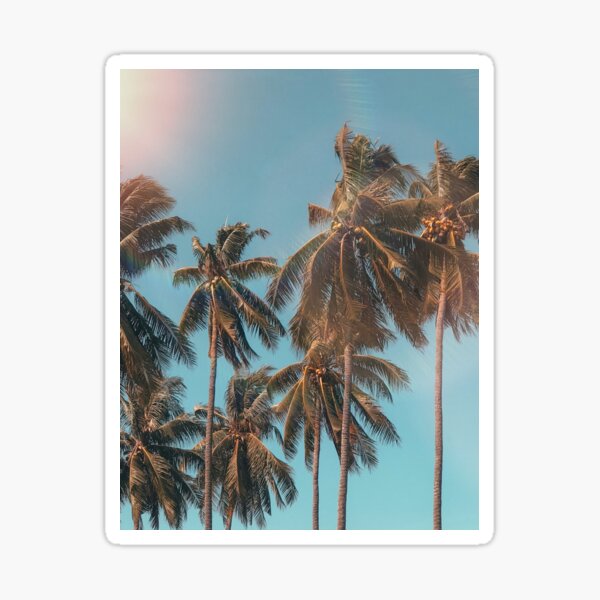 "Hawaiian breeze" Sticker by BelleLaBelle1 | Redbubble