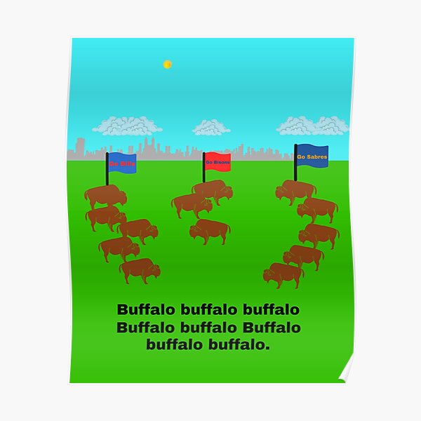 "Buffalo buffalo" Poster for Sale by dreamerv3 | Redbubble