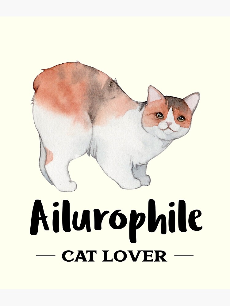 "Ailurophile, Nerd Word for Cat Lover, With Cute Orange Tabby Cat ...