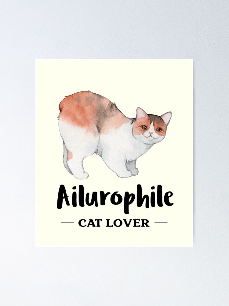"Ailurophile, Nerd Word for Cat Lover, With Cute Orange Tabby Cat ...