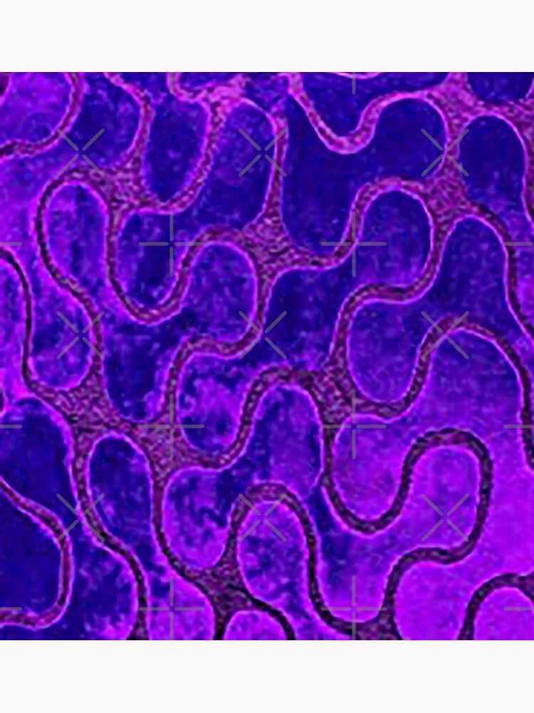 " mid century modern art,1960s mod,in mod we trust,london mod,sixties ...