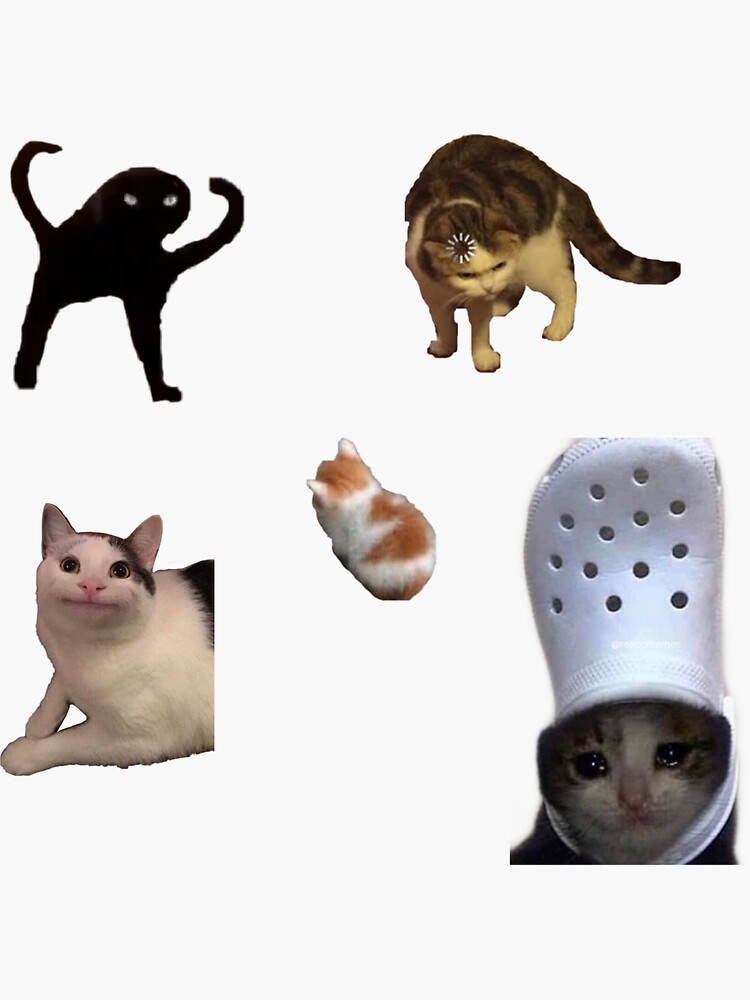 "cat meme sticker pack 2" Sticker for Sale by stickerpackss | Redbubble