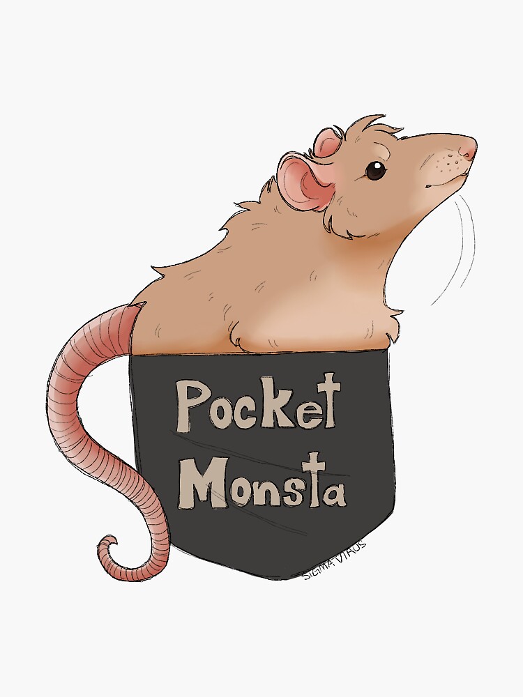 "Pocket Rat" Sticker by soupachrome | Redbubble