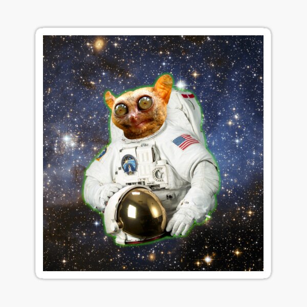 "Tarsier Space" Sticker by GremlinCrew | Redbubble