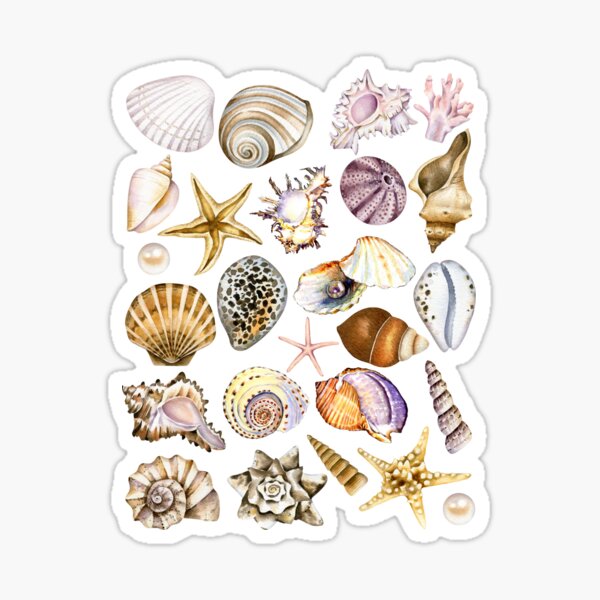 "Watercolor Seashells" Sticker by fameuxarts | Redbubble
