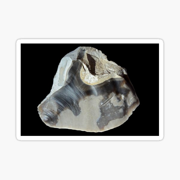 "Prehistoric Flint Scraper" Sticker by camerawithlegs | Redbubble