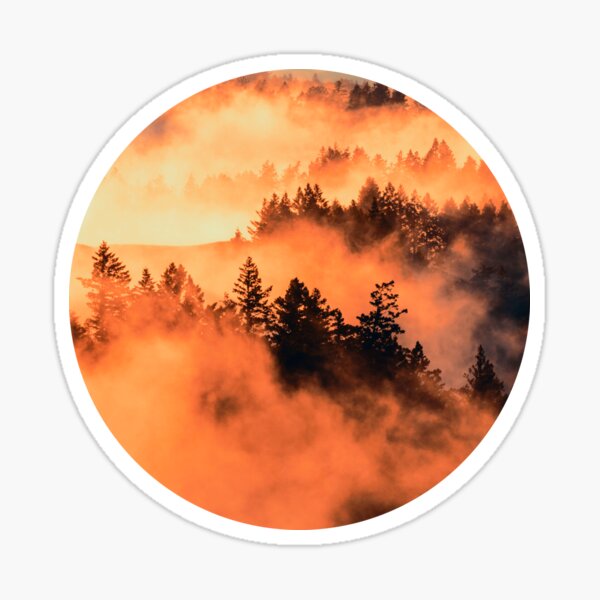 "Forest Mountain Horizon" Sticker by PostersStickers | Redbubble