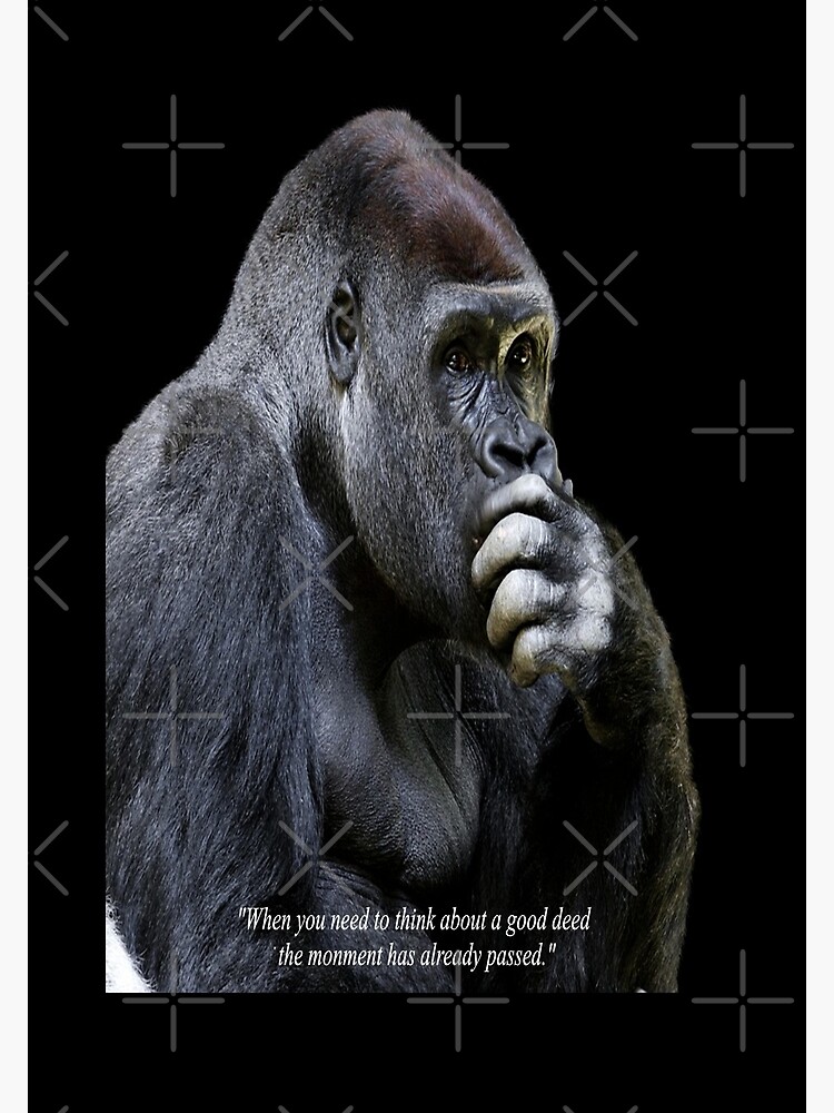 "Fantasy Monkey trying to decide whether to do a good deed Quotation ...