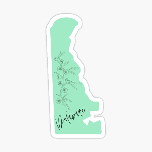 "Delaware - State Flower - Seafoam Green" Sticker for Sale by CozyMcGee ...