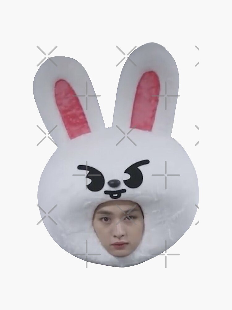 "lee know skzoo" Sticker by itskisaa | Redbubble