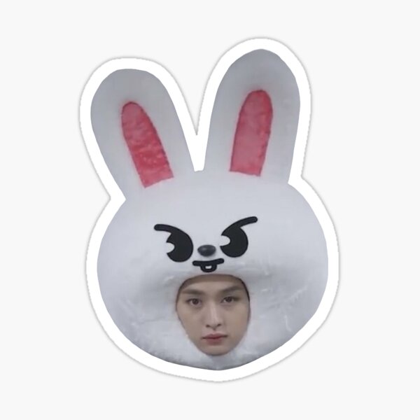 "lee know skzoo" Sticker by itskisaa | Redbubble