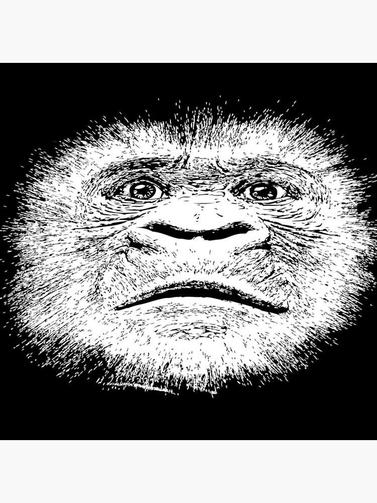 "Monkey face" Poster for Sale by baranikov | Redbubble