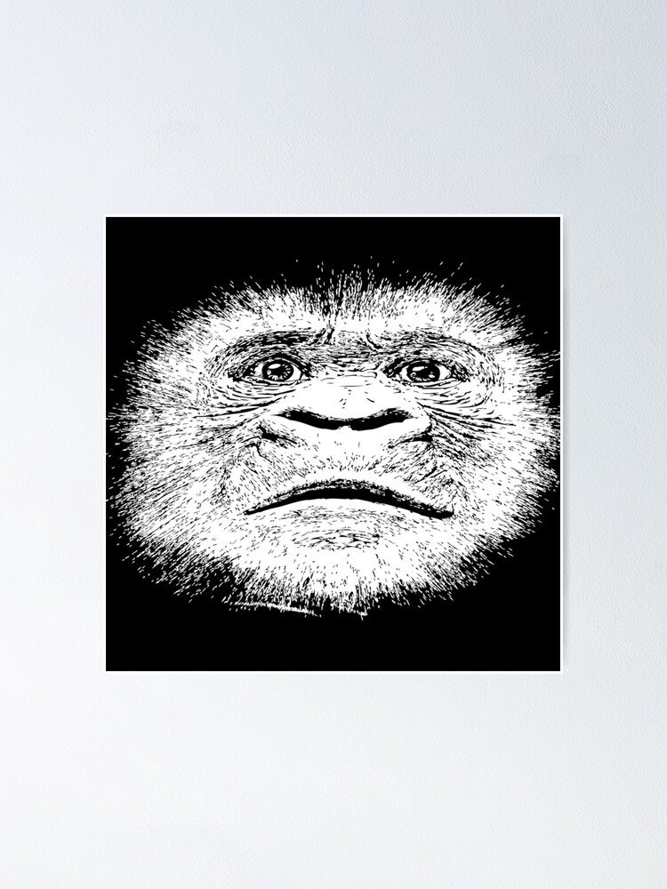 "Monkey face" Poster for Sale by baranikov | Redbubble