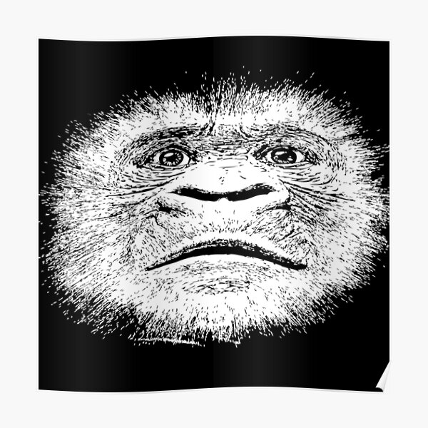 "Monkey face" Poster for Sale by baranikov | Redbubble