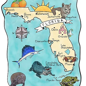 "Map of Florida" Sticker for Sale by Platinumfrog | Redbubble