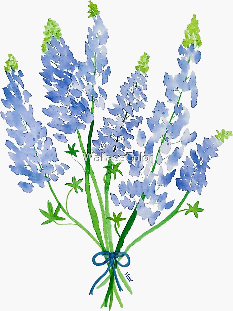 "Bluebonnet Bouquet" Sticker for Sale by WallaceColor | Redbubble