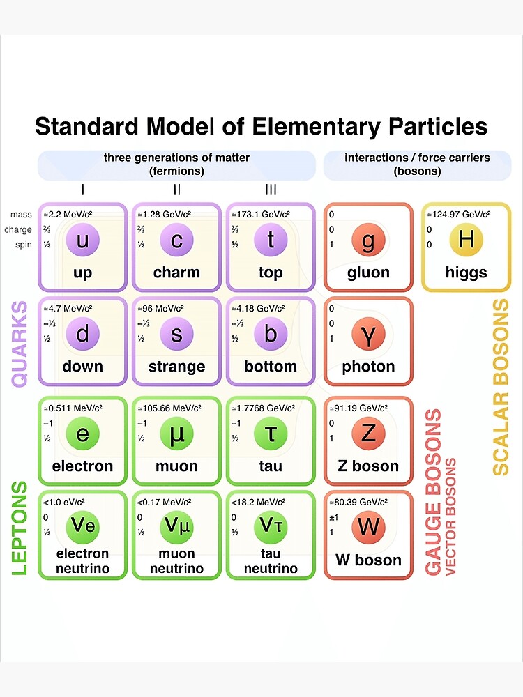 "Physics Standard Model of Elementary Particles Physicist " Poster by ...