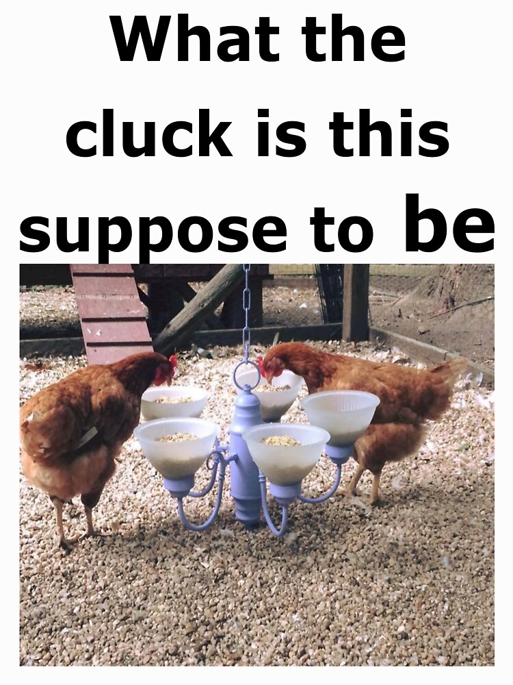 "What the cluck is this suppose to be?: funny, humorous chickens with a ...