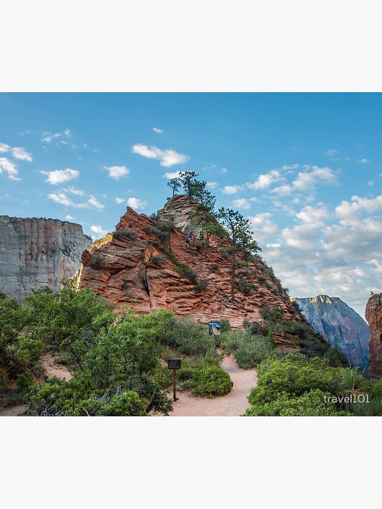 "Travel Trees Mountains Angels Rest Zion National Park - Utah USA ...