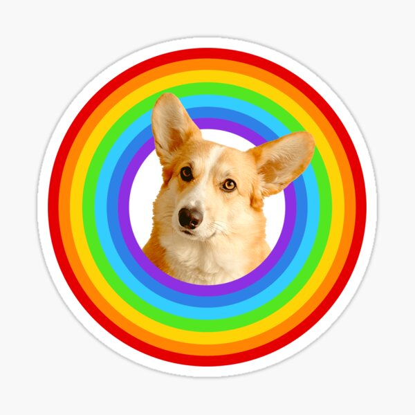 "Rainbow Corgi Puppy Dog" Sticker for Sale by toadsforall | Redbubble