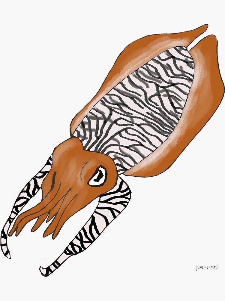 "Zebra squid" Sticker by paw-sci | Redbubble