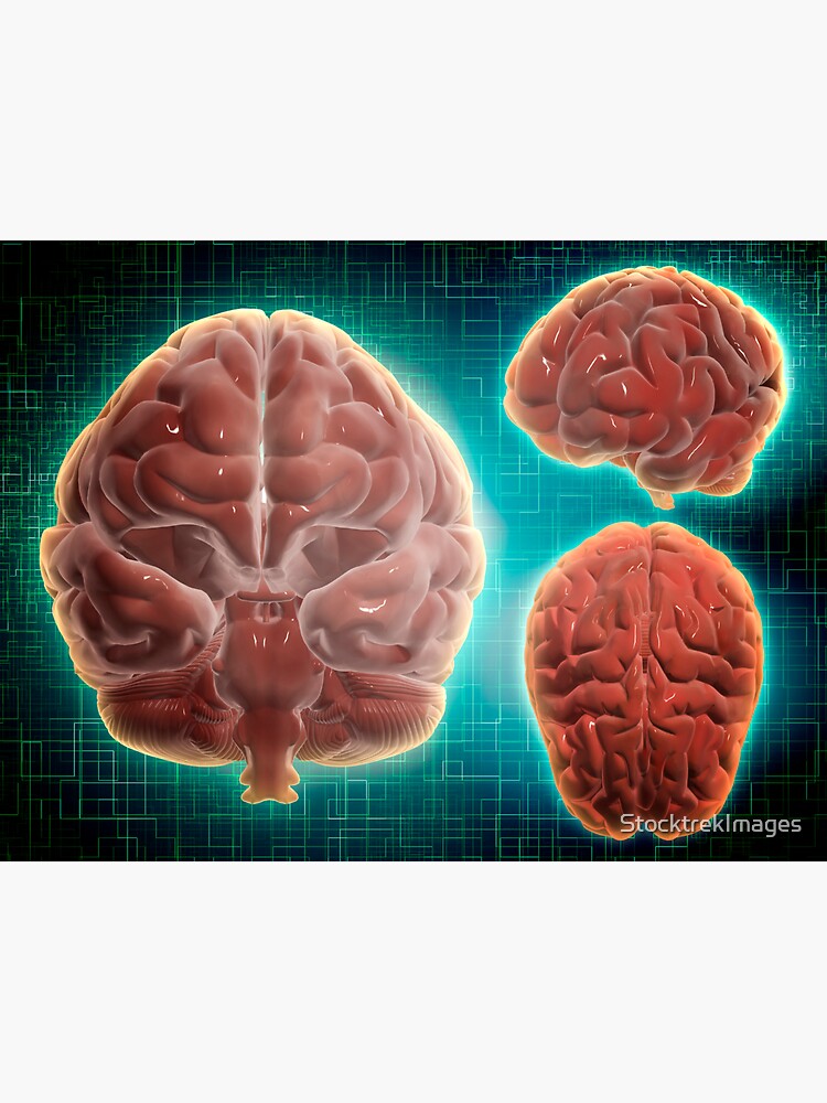 "Conceptual image of human brain at different angles." Sticker for Sale ...
