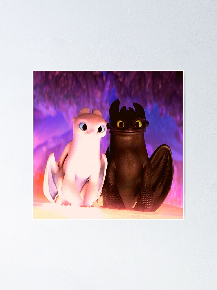 "Toothless and Light fury" Poster for Sale by GeorgeSt506 | Redbubble