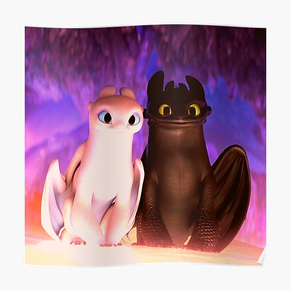 "Toothless and Light fury" Poster for Sale by GeorgeSt506 | Redbubble