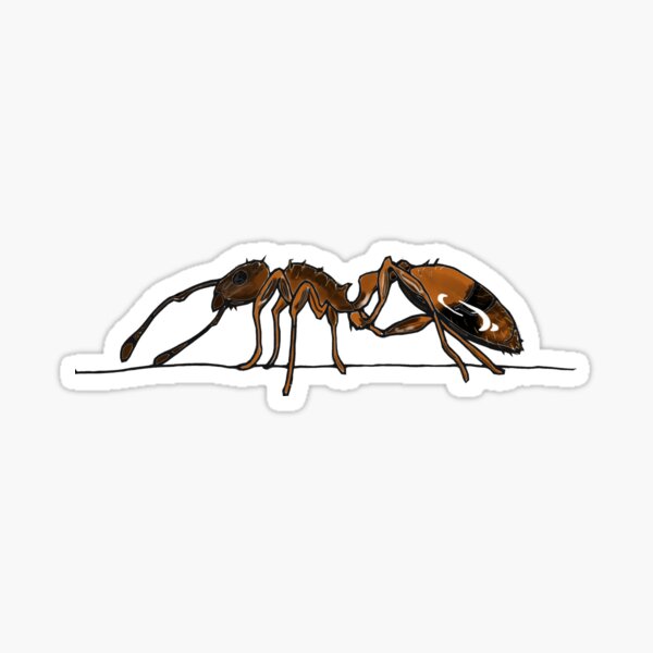 "Shiny ant" Sticker by paw-sci | Redbubble