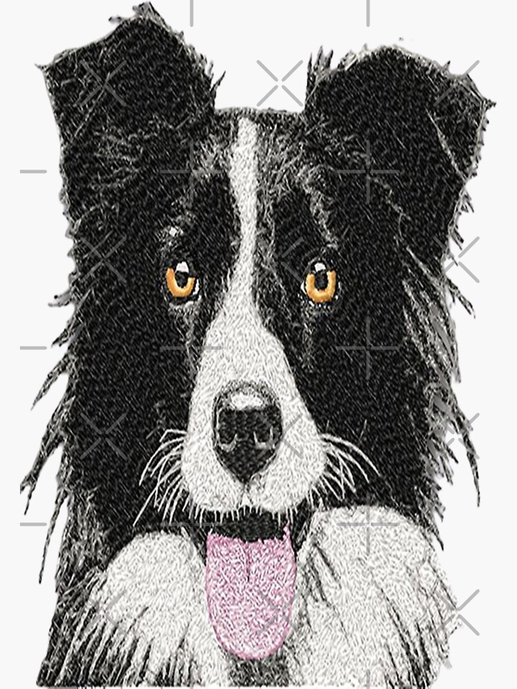 "Machine Embroidery, Beautiful, Lassie, Beautiful Embroidered Border ...