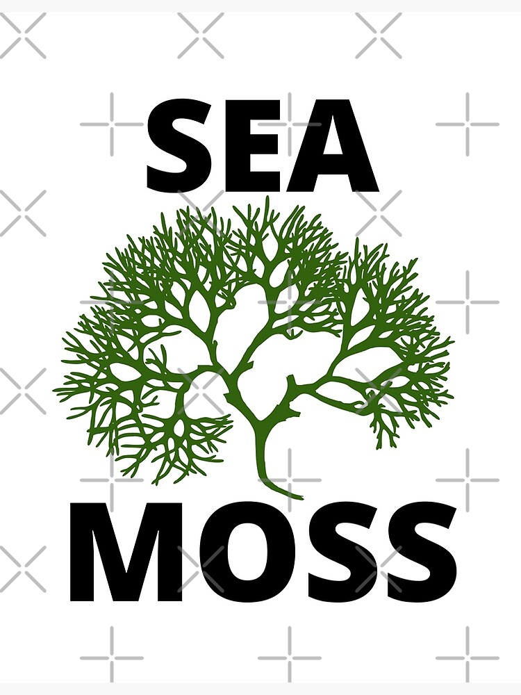 "Sea Moss ,Irish Moss" Poster for Sale by WeGotThat | Redbubble
