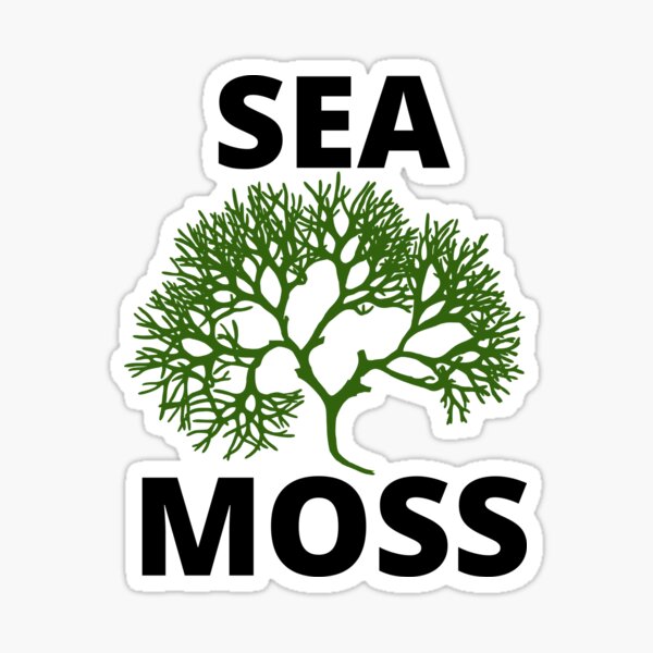 "Sea Moss ,Irish Moss" Sticker for Sale by WeGotThat | Redbubble
