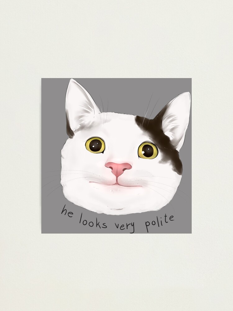 "He looks very polite - Polite Cat Meme Catto Dank Meme #f35" Photographic Print for Sale by ...
