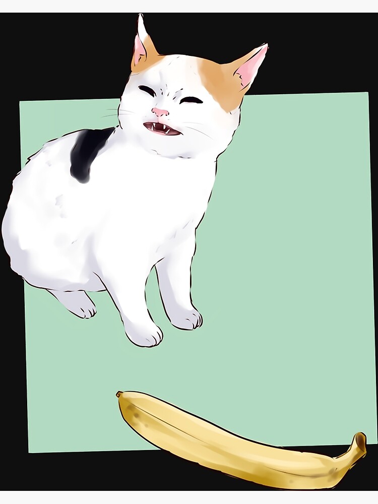 "He not like the banana - angery banana cat meme catto #x35" Poster by ...