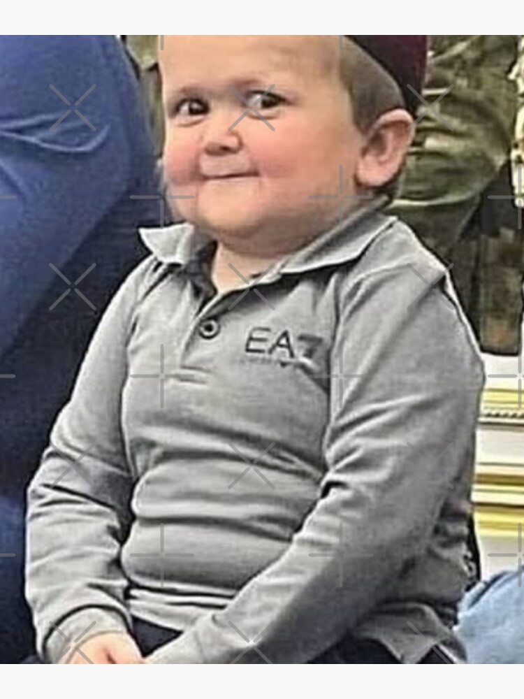 "Lustiges Hasbulla Hasbullah Lächeln - Team MMA Hasbulla Fight Meme ...